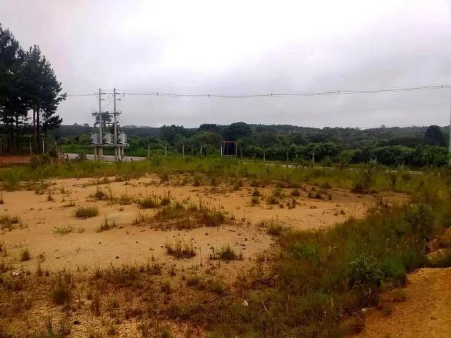 Terreno / Lote para Venda em São Bento do Sul/SC Lençol