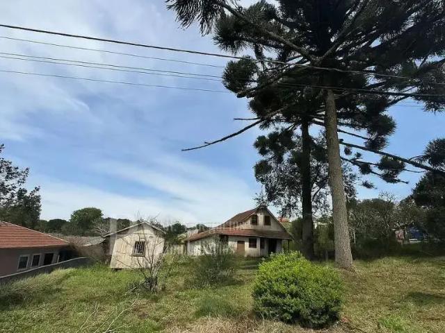Terreno / Lote para Venda em São Bento do Sul/SC Mato Preto