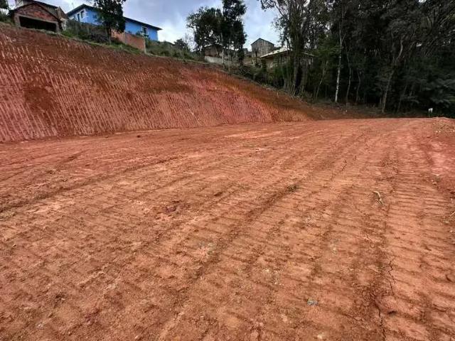 Terreno / Lote para Venda em São Bento do Sul/SC Serra Alta