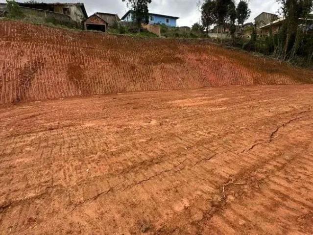 Terreno / Lote para Venda em São Bento do Sul/SC Serra Alta