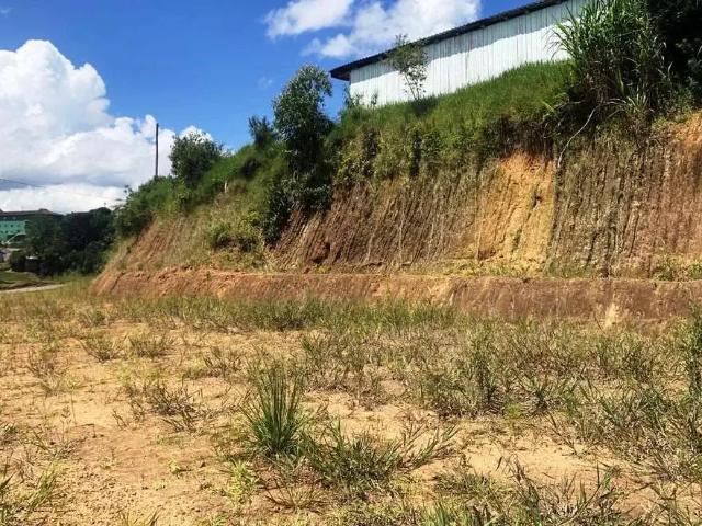 Terreno / Lote para Venda em São Bento do Sul/SC Serra Alta