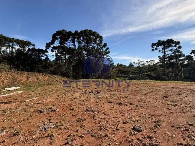 Terreno / Lote para Venda em São Bento do Sul/SC Serra Alta