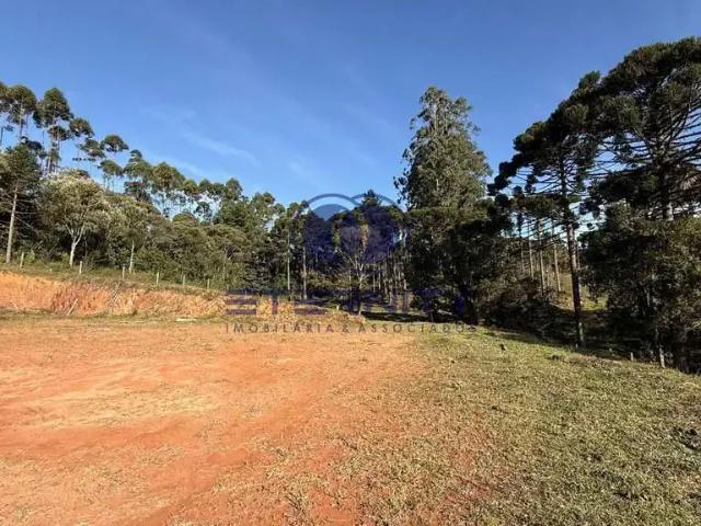Terreno / Lote para Venda em São Bento do Sul/SC Serra Alta