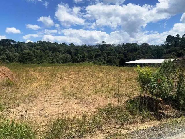 Terreno / Lote para Venda em São Bento do Sul/SC Serra Alta