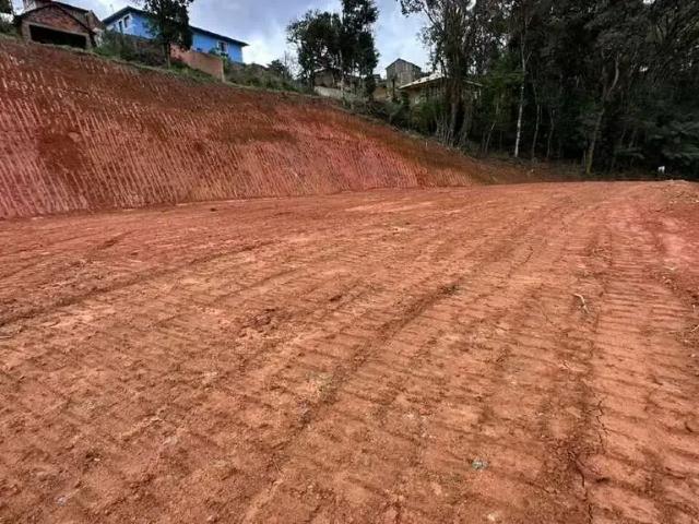 Terreno / Lote para Venda em São Bento do Sul/SC Serra Alta