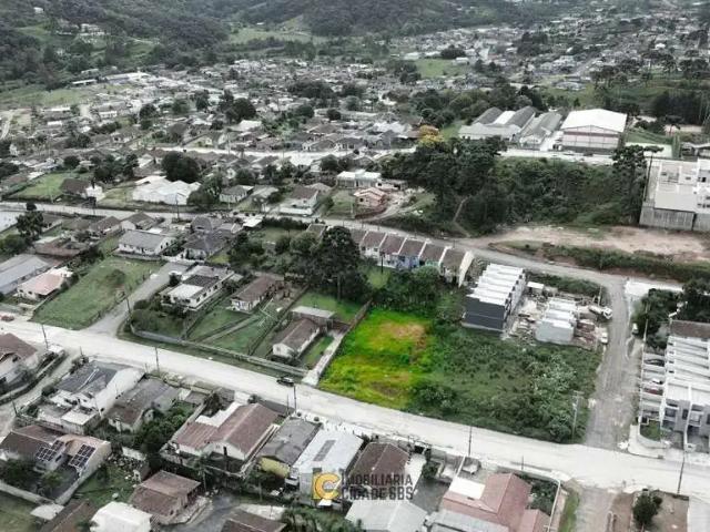 Terreno / Lote para Venda em São Bento do Sul/SC Serra Alta