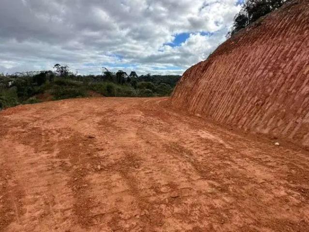 Terreno / Lote para Venda em São Bento do Sul/SC Serra Alta
