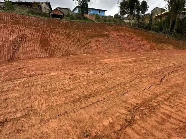 Terreno / Lote para Venda em São Bento do Sul/SC Serra Alta