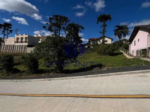 Terreno / Lote para Venda em São Bento do Sul/SC Serra Alta
