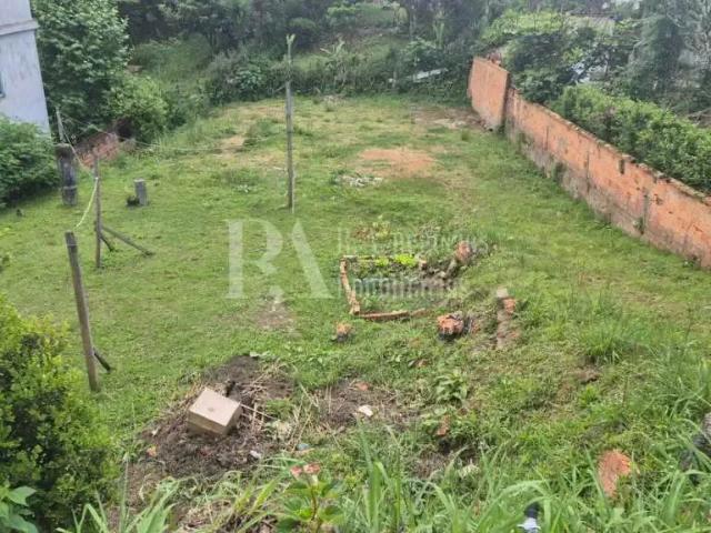 Terreno / Lote para Venda em São Bento do Sul/SC Serra Alta