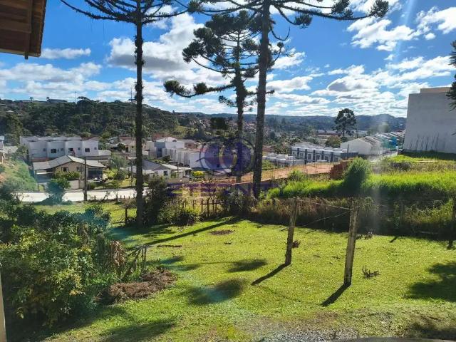 Terreno / Lote para Venda em São Bento do Sul/SC Serra Alta