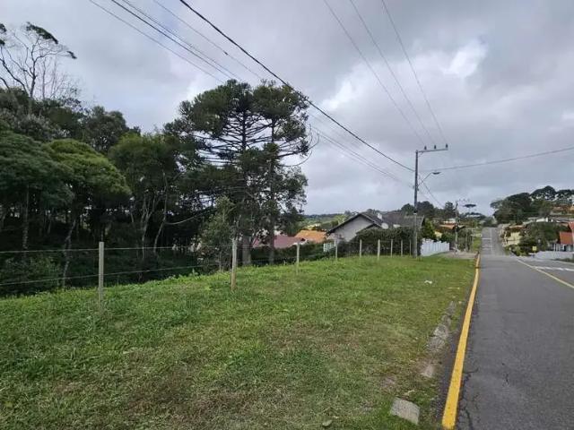 Terreno / Lote para Venda em São Bento do Sul/SC Progresso