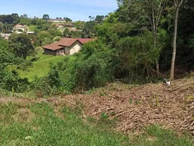 Terreno / Lote para Venda em São Bento do Sul/SC Progresso