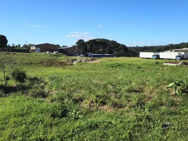 Terreno / Lote para Venda em São Bento do Sul/SC Rio Negro