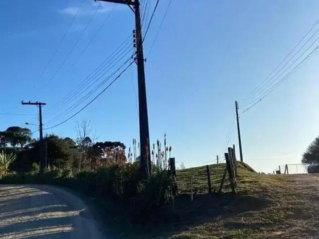 Terreno / Lote para Venda em São Bento do Sul/SC Rio Vermelho Estação