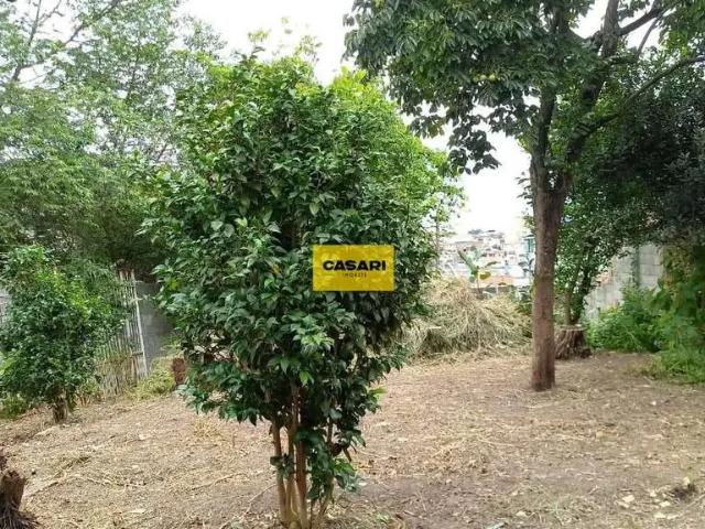 Terreno / Lote para Venda em São Bernardo do Campo/SP Taboão