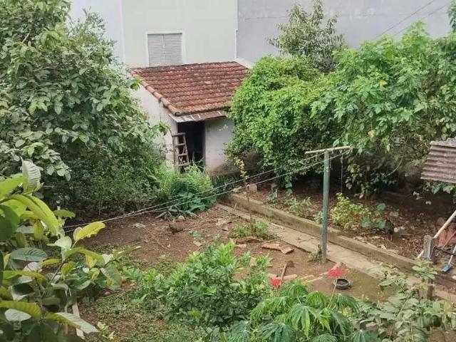 Terreno / Lote para Venda em São Bernardo do Campo/SP Vila Dusi