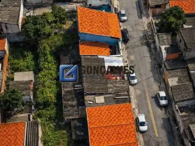 Terreno / Lote para Venda em São Bernardo do Campo/SP Vila Flórida