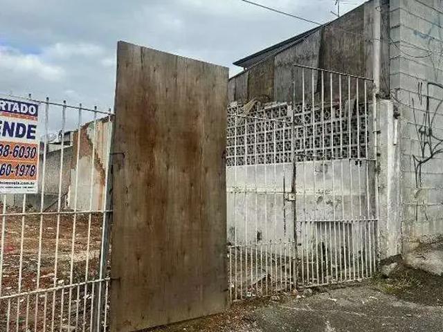 Terreno / Lote para Venda em São Bernardo do Campo/SP Vila Lusitânia
