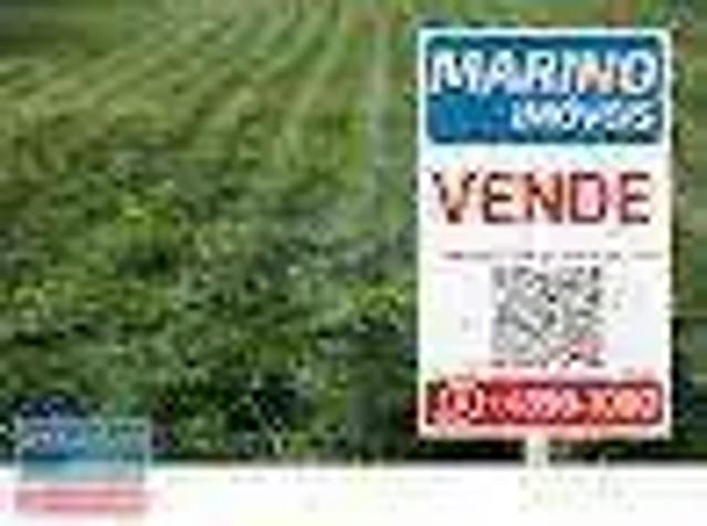Terreno / Lote para Venda em São Bernardo do Campo/SP Vila Rosa