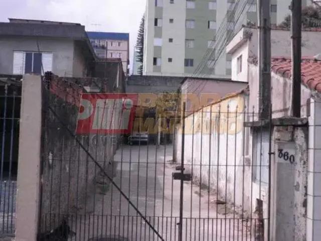 Terreno / Lote para Venda em São Bernardo do Campo/SP Vila Santa Luzia