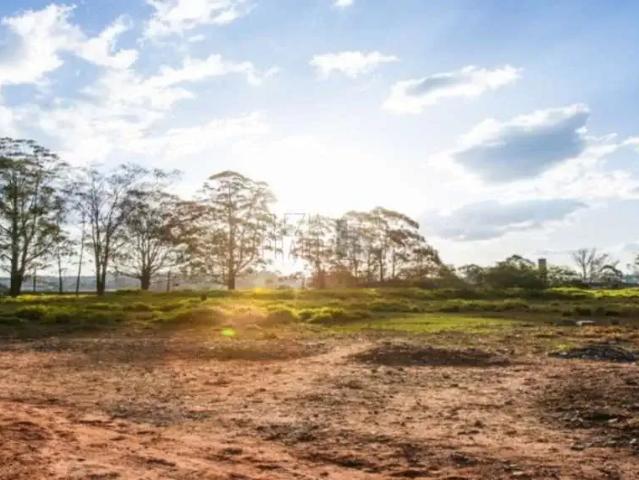 Terreno / Lote para Venda em São Bernardo do Campo/SP Alvarenga