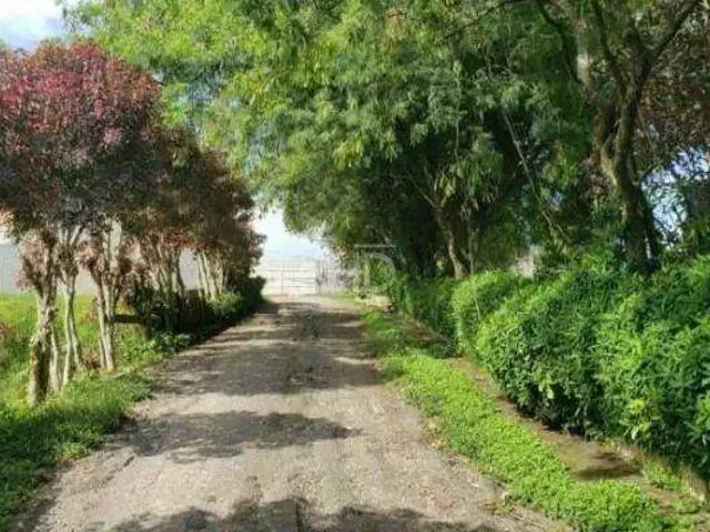 Terreno / Lote para Venda em São Bernardo do Campo/SP Alvarenga