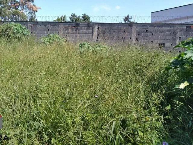 Terreno / Lote para Venda em São Bernardo do Campo/SP Alvarenga
