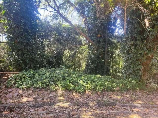 Terreno / Lote para Venda em São Bernardo do Campo/SP Alvarenga