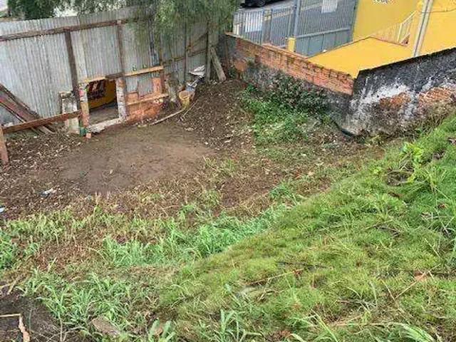 Terreno / Lote para Venda em São Bernardo do Campo/SP Baeta Neves