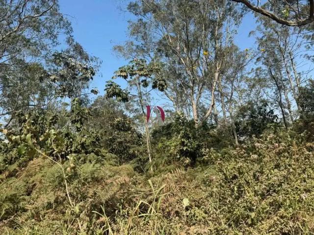 Terreno / Lote para Venda em São Bernardo do Campo/SP Batistini