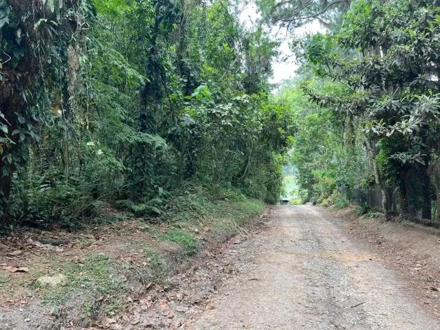 Terreno / Lote para Venda em São Bernardo do Campo/SP Batistini