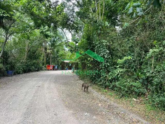 Terreno / Lote para Venda em São Bernardo do Campo/SP Batistini