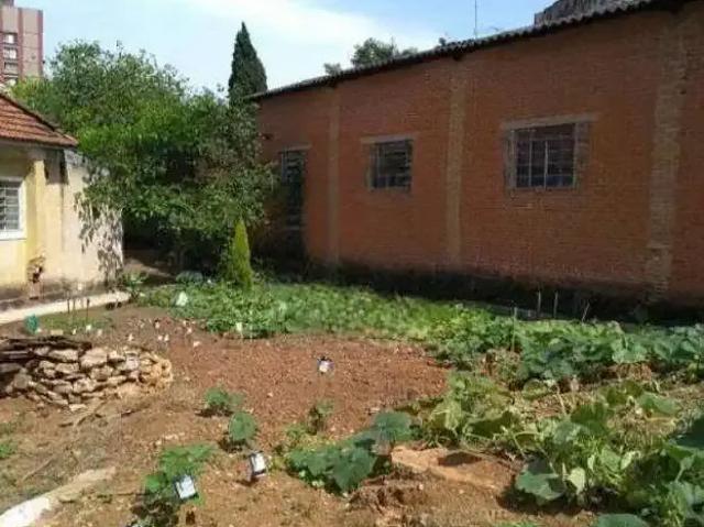 Terreno / Lote para Venda em São Bernardo do Campo/SP Centro