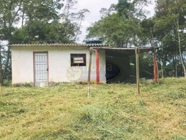 Terreno / Lote para Venda em São Bernardo do Campo/SP Curucutu