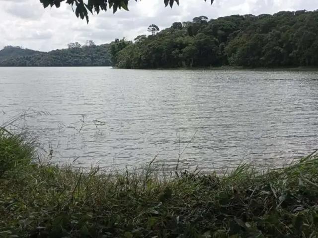Terreno / Lote para Venda em São Bernardo do Campo/SP Dos Finco