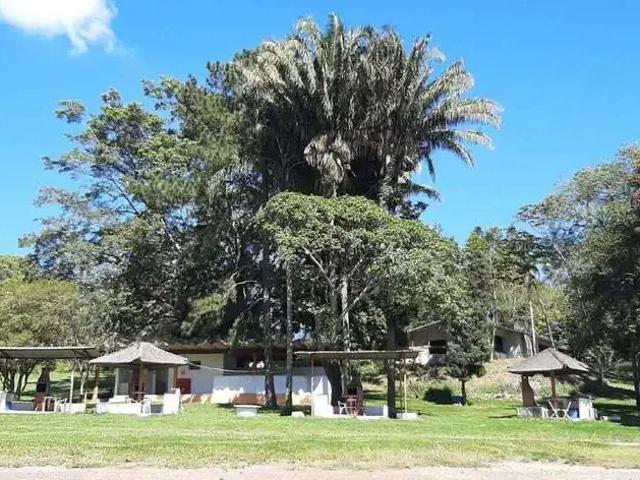 Terreno / Lote para Venda em São Bernardo do Campo/SP Dos Finco