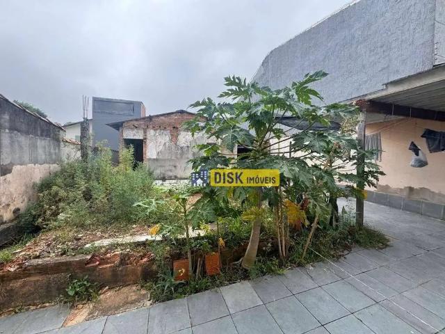 Terreno / Lote para Venda em São Bernardo do Campo/SP Jardim Maria Cecília