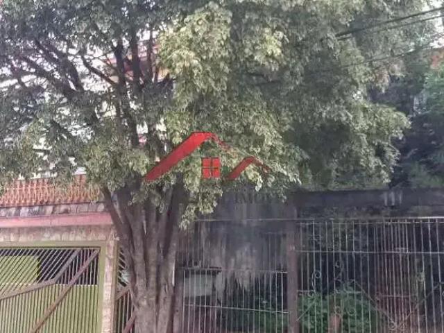 Terreno / Lote para Venda em São Bernardo do Campo/SP Nova Petrópolis