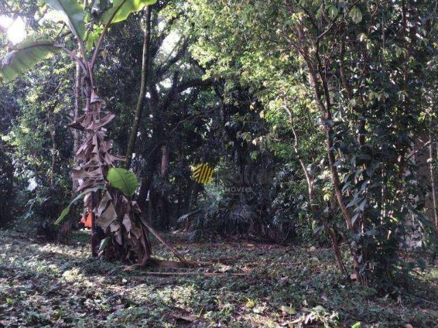 Terreno / Lote para Venda em São Bernardo do Campo/SP Parque Anchieta