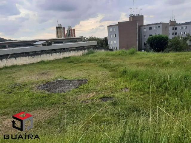 Terreno / Lote para Venda em São Bernardo do Campo/SP Parque Selecta Montanhão