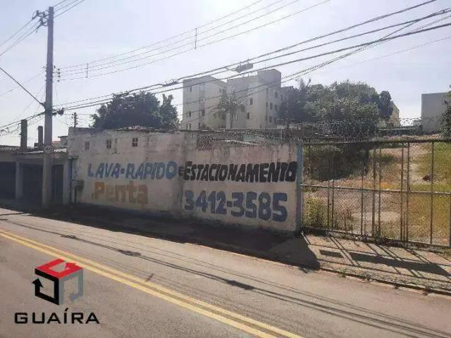 Terreno / Lote para Venda em São Bernardo do Campo/SP Paulicéia