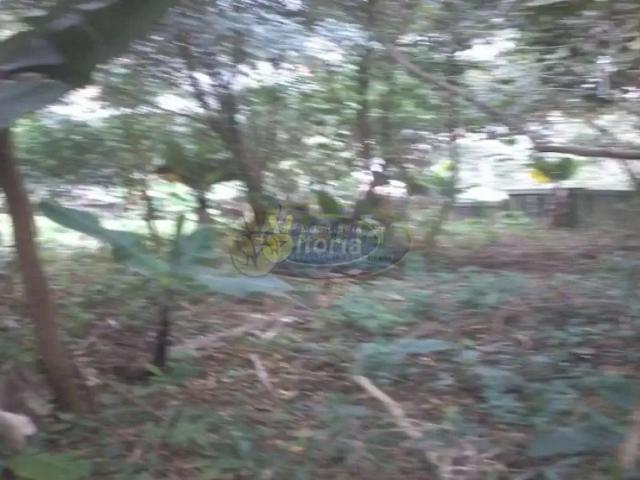 Terreno / Lote para Venda em São Bernardo do Campo/SP Royal Park
