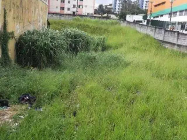 Terreno / Lote para Venda em São Bernardo do Campo/SP Santa Terezinha