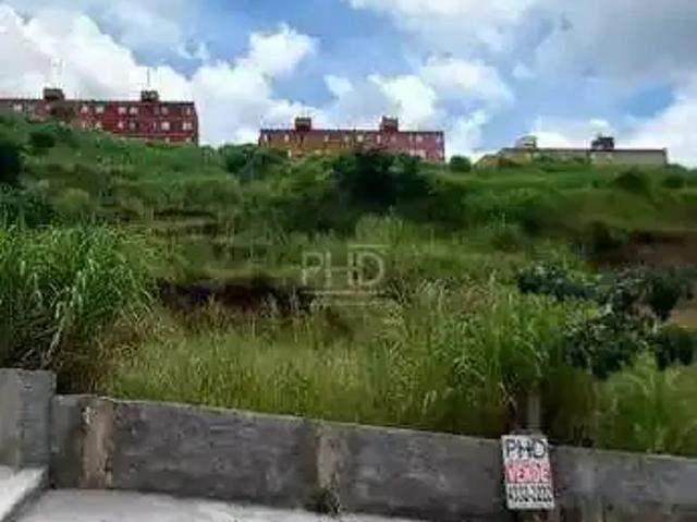 Terreno / Lote para Venda em São Bernardo do Campo/SP Santa Terezinha