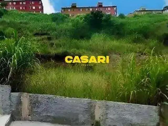 Terreno / Lote para Venda em São Bernardo do Campo/SP Santa Terezinha
