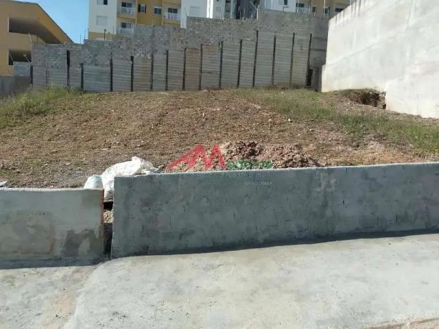Terreno / Lote para Venda em São Bernardo do Campo/SP Santa Terezinha