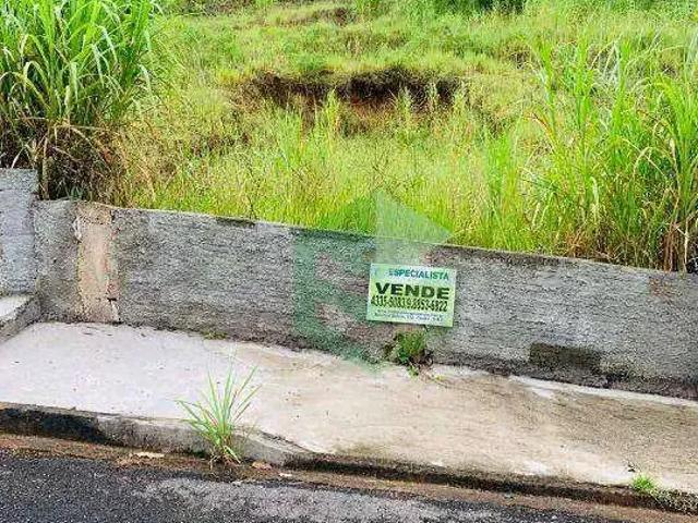 Terreno / Lote para Venda em São Bernardo do Campo/SP Santa Terezinha