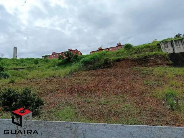 Terreno / Lote para Venda em São Bernardo do Campo/SP Santa Terezinha