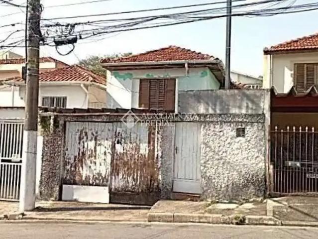 Terreno / Lote para Venda em São Bernardo do Campo/SP Santa Terezinha